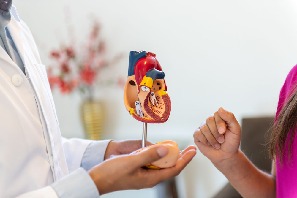 White Marsh Cardiology - Complete Cardiac Care Services in the greater ...